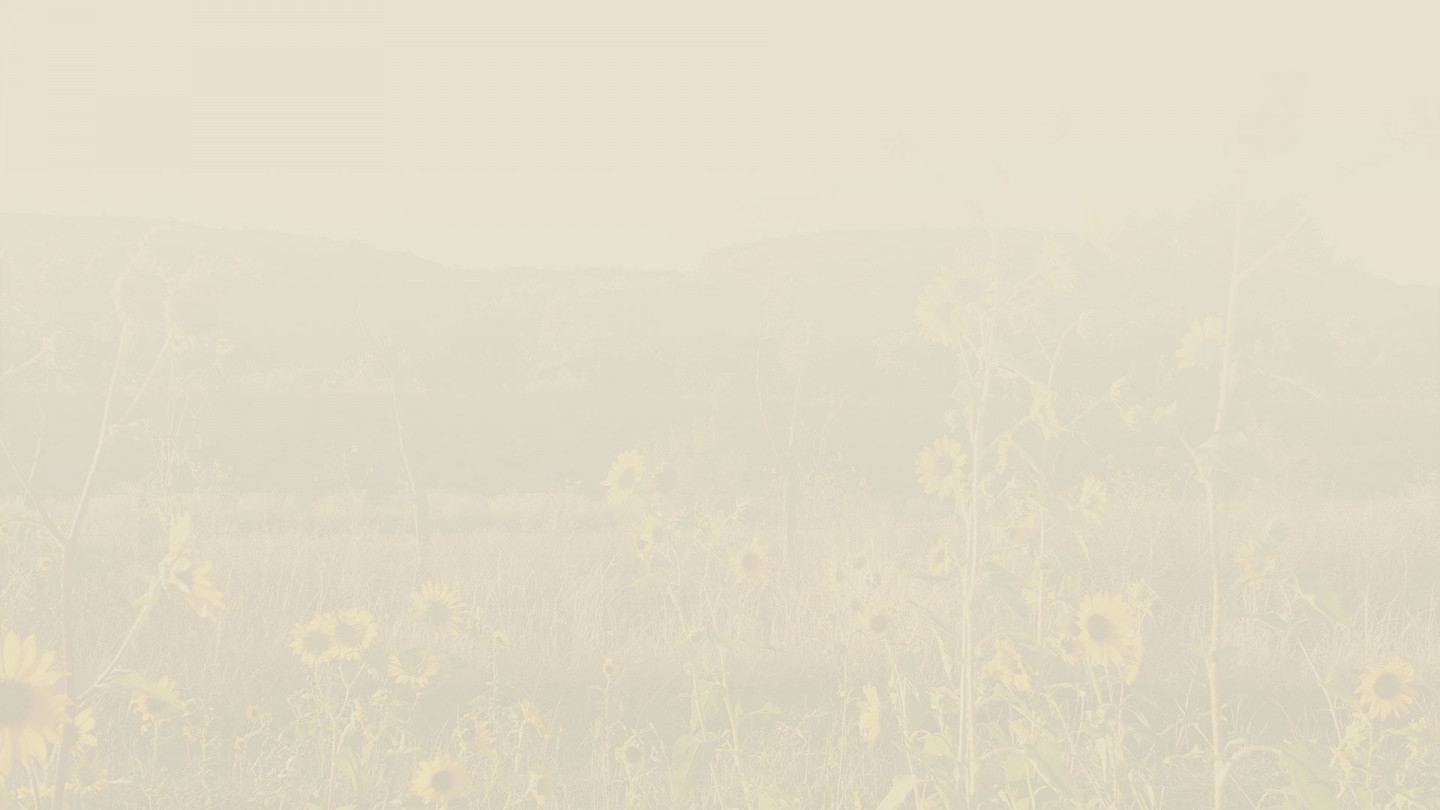 Tribal Court | San Felipe Pueblo