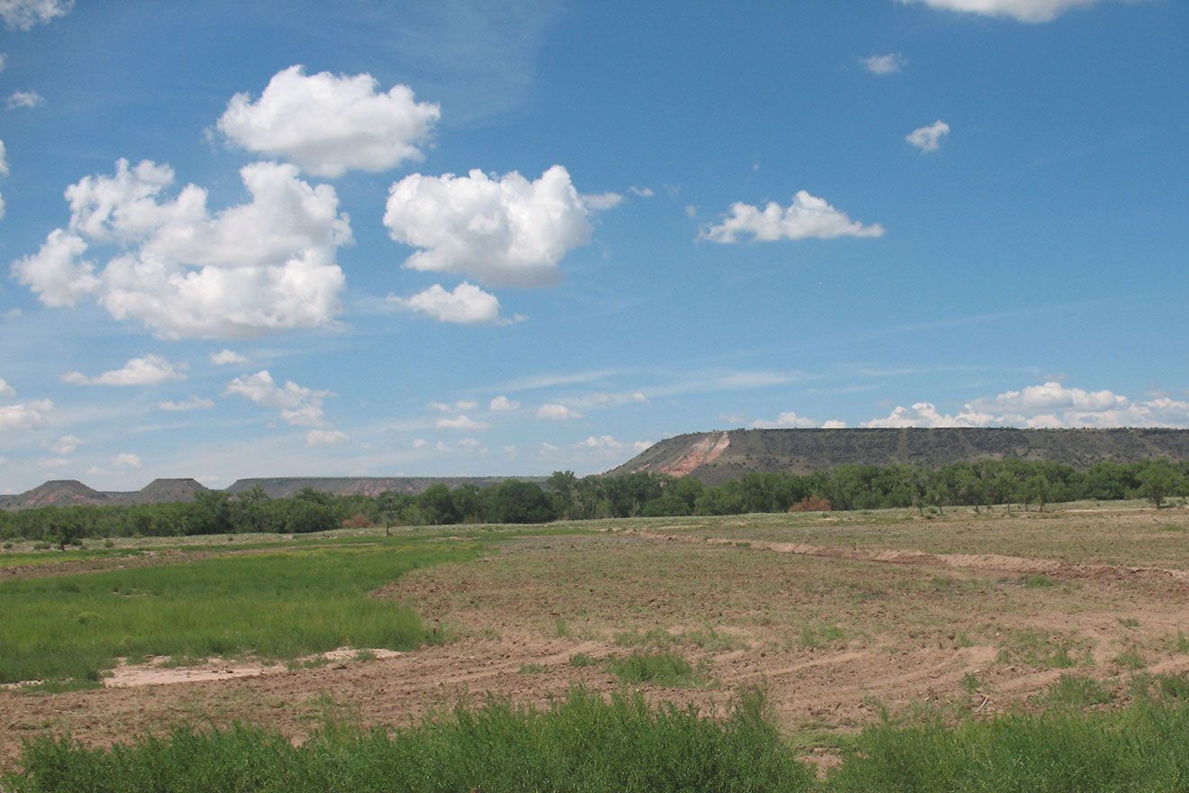 Home | San Felipe Pueblo
